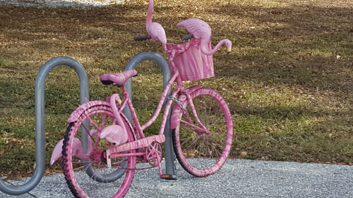 TDF Stage 1: Individual Time Trial – Change+Management