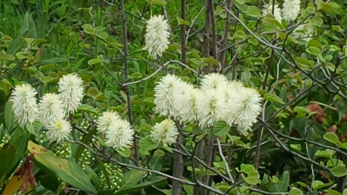 Tolerance – Change+Management