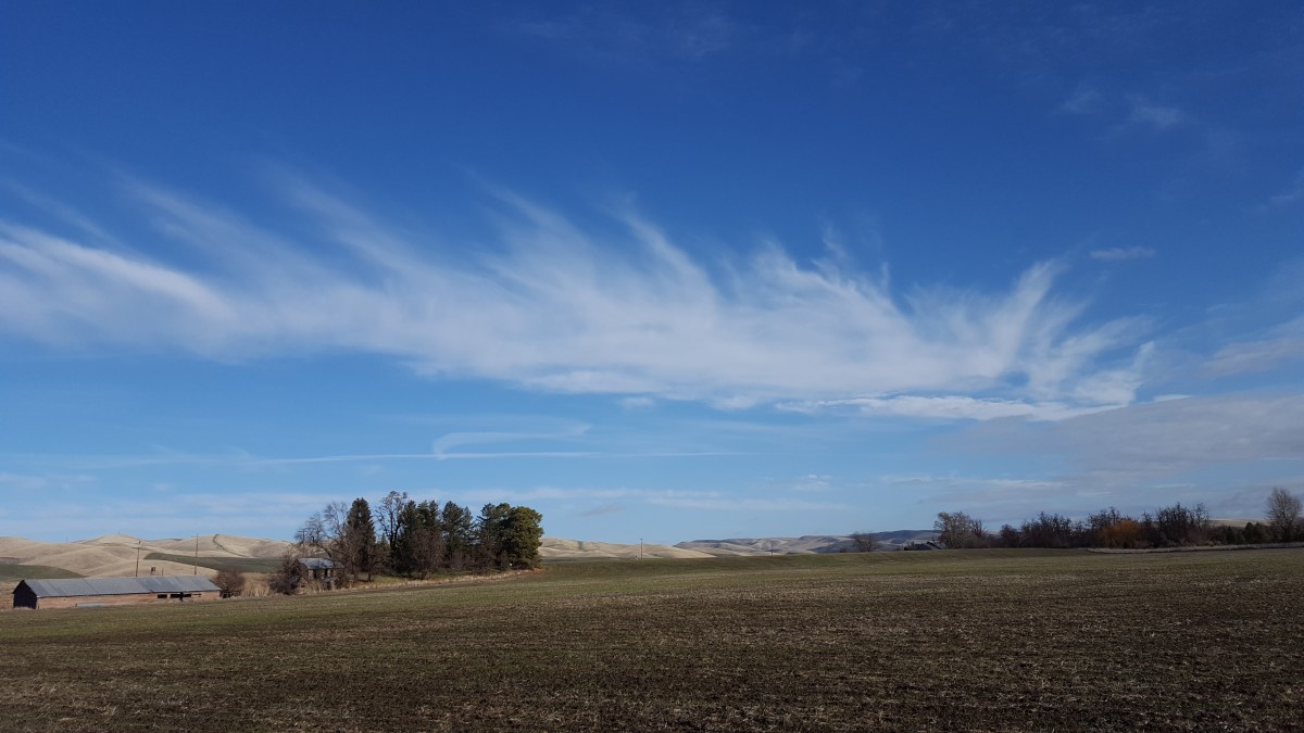 Taking a Time Out – Change+Management